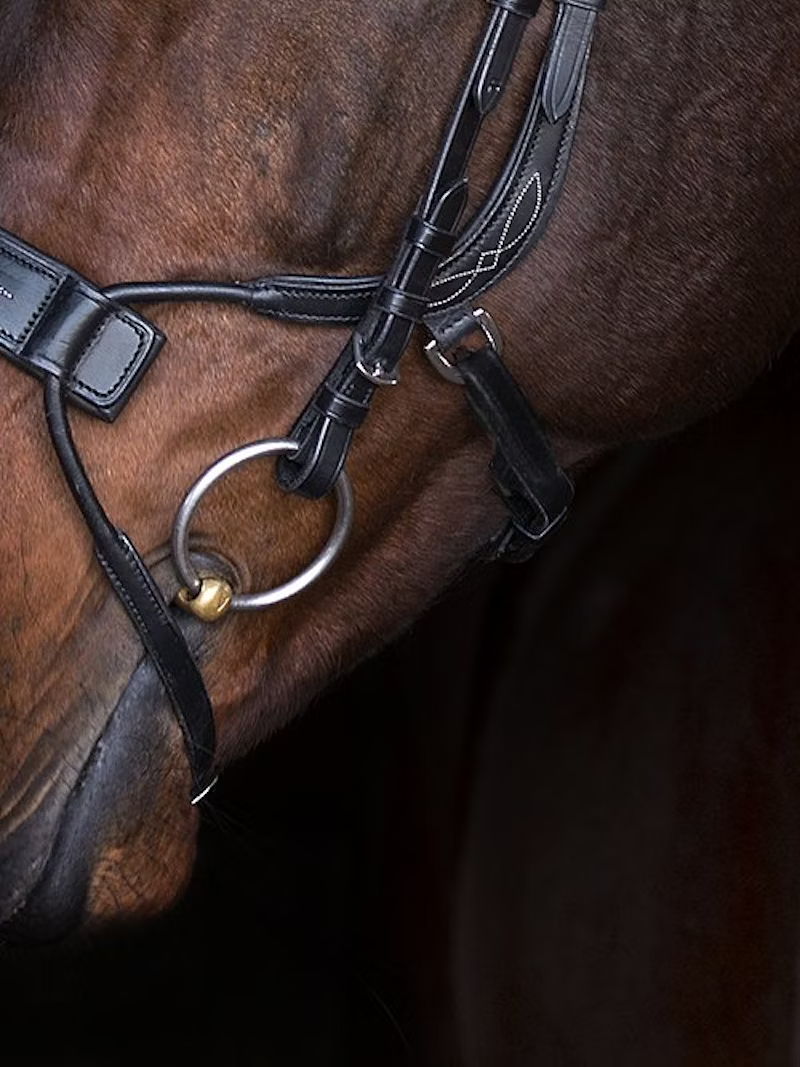 HIGH JUMP BRIDLE - Horseuniver