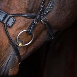 Catago Rolled Double Bridle - Horseuniver